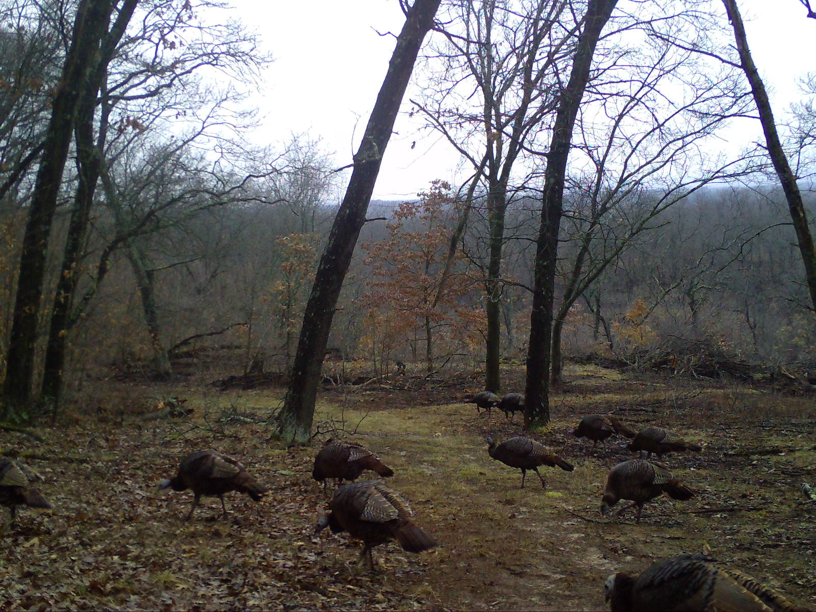 When Programs Intersect | Snapshot Wisconsin