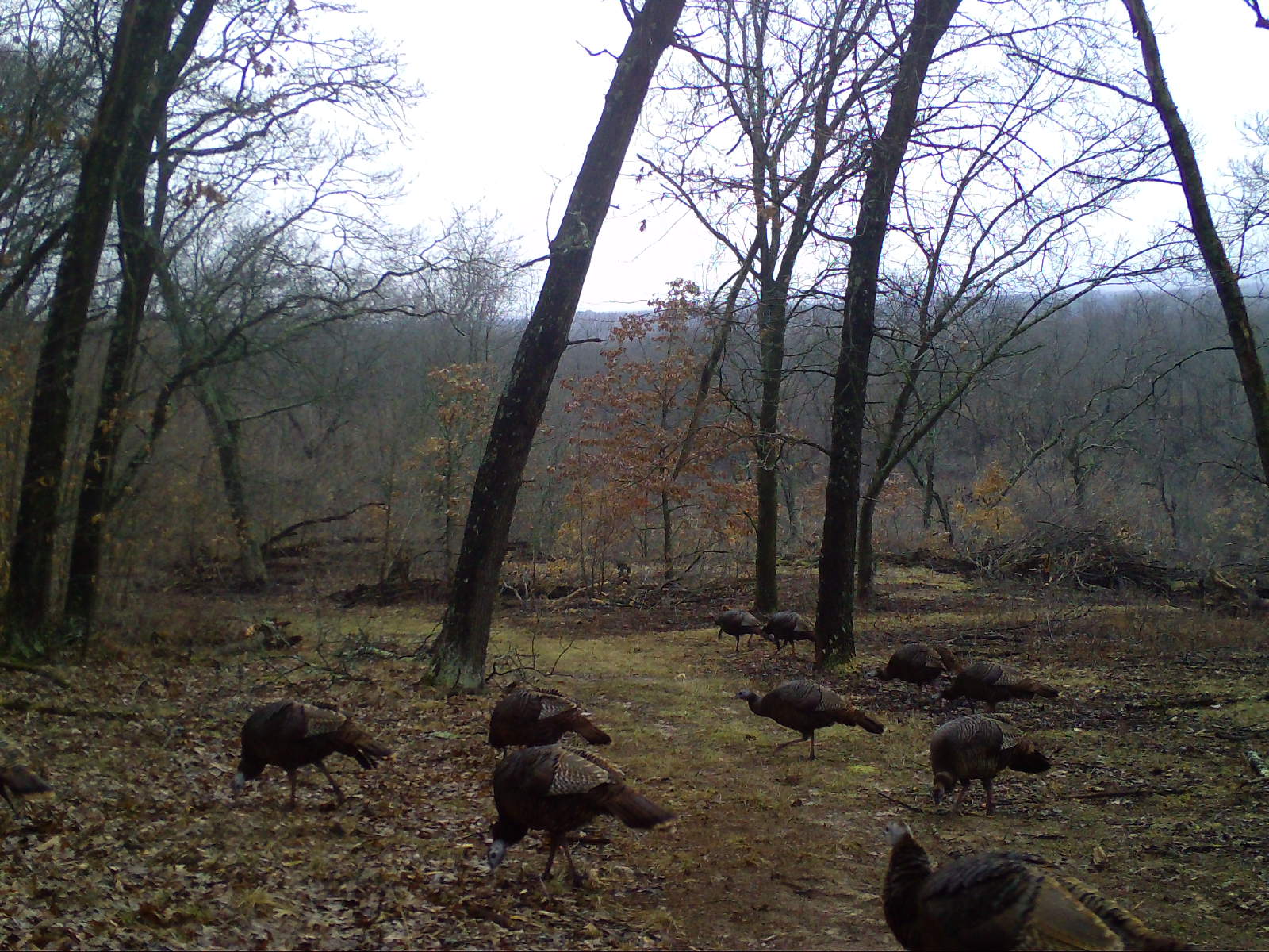 When Programs Intersect | Snapshot Wisconsin